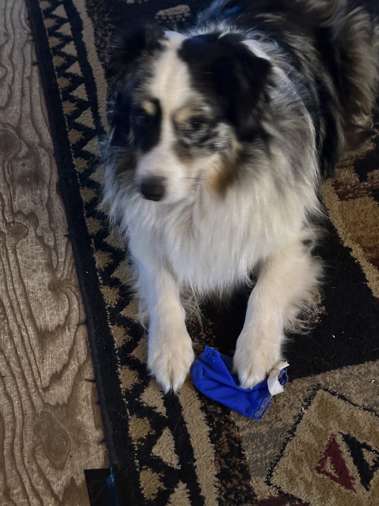 Sunday January 7, 2024 – The View from the Outhouse